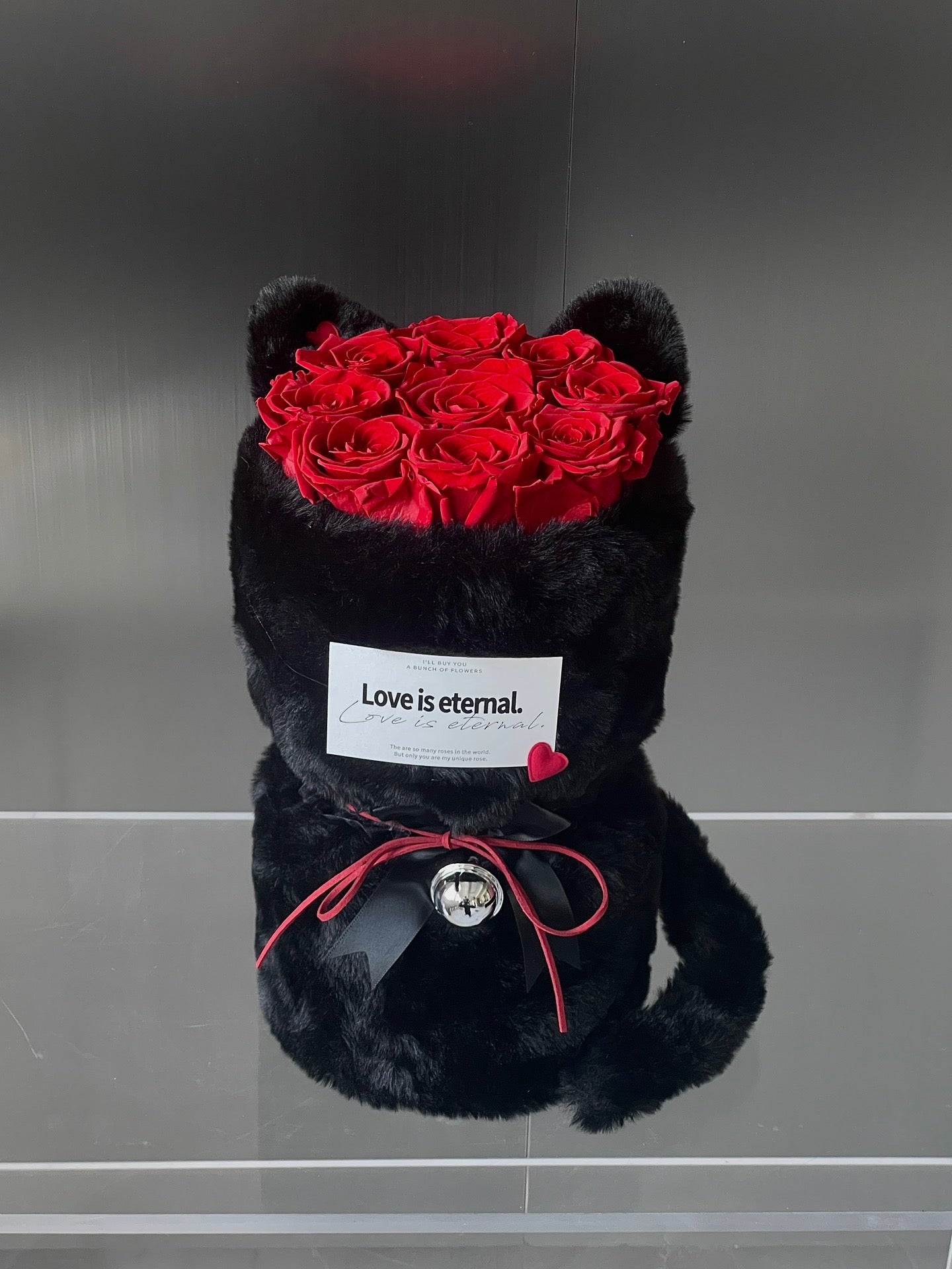 Kitten Box – Starry Studio