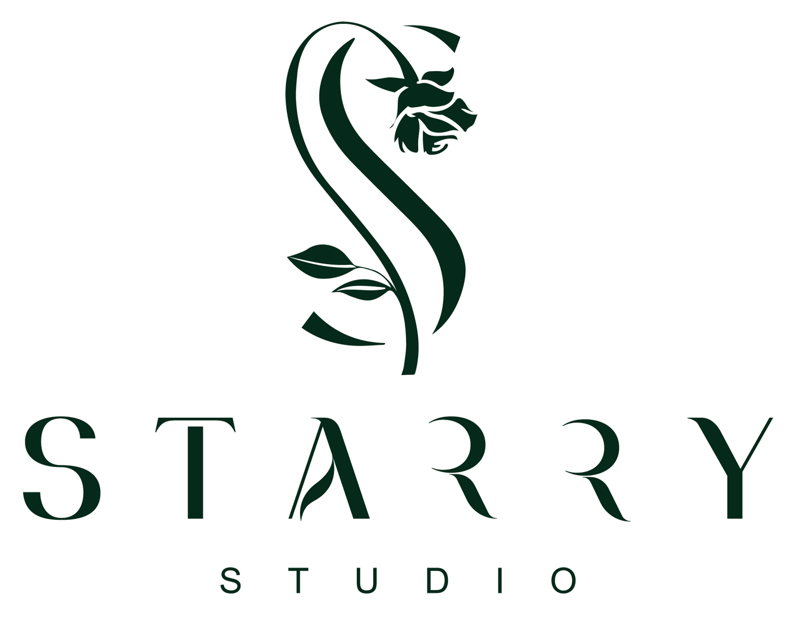 Starry Studio